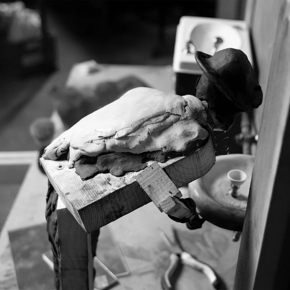 Segregated water fountains, North Carolina — CORTIS & SONDEREGGER