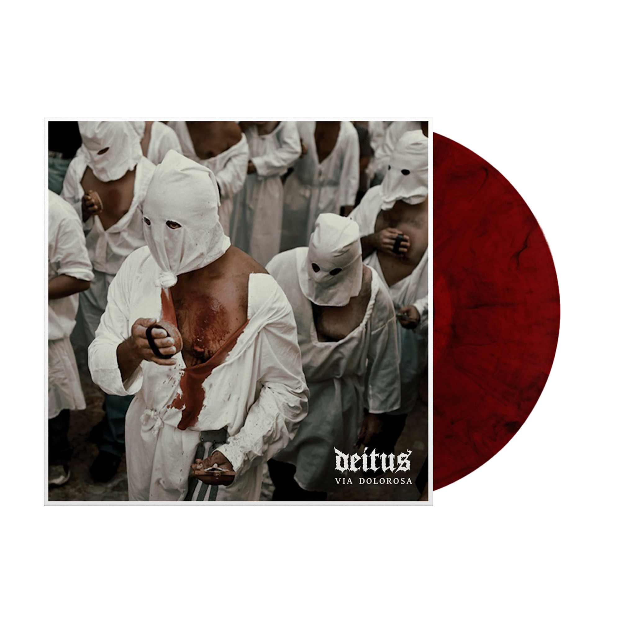 DEITUS Official Website