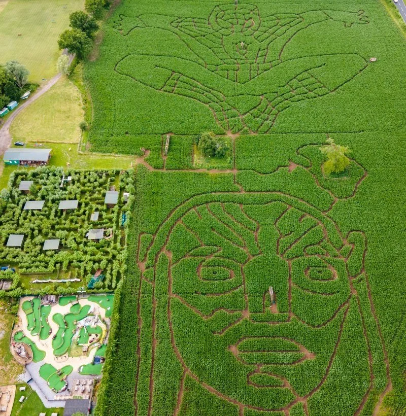 Previous Mazes — Elton Giant Mazes