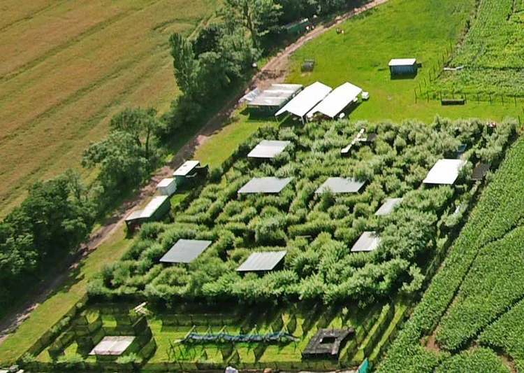 Elton Giant Mazes