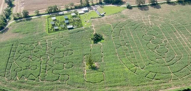 Previous Mazes — Elton Giant Mazes