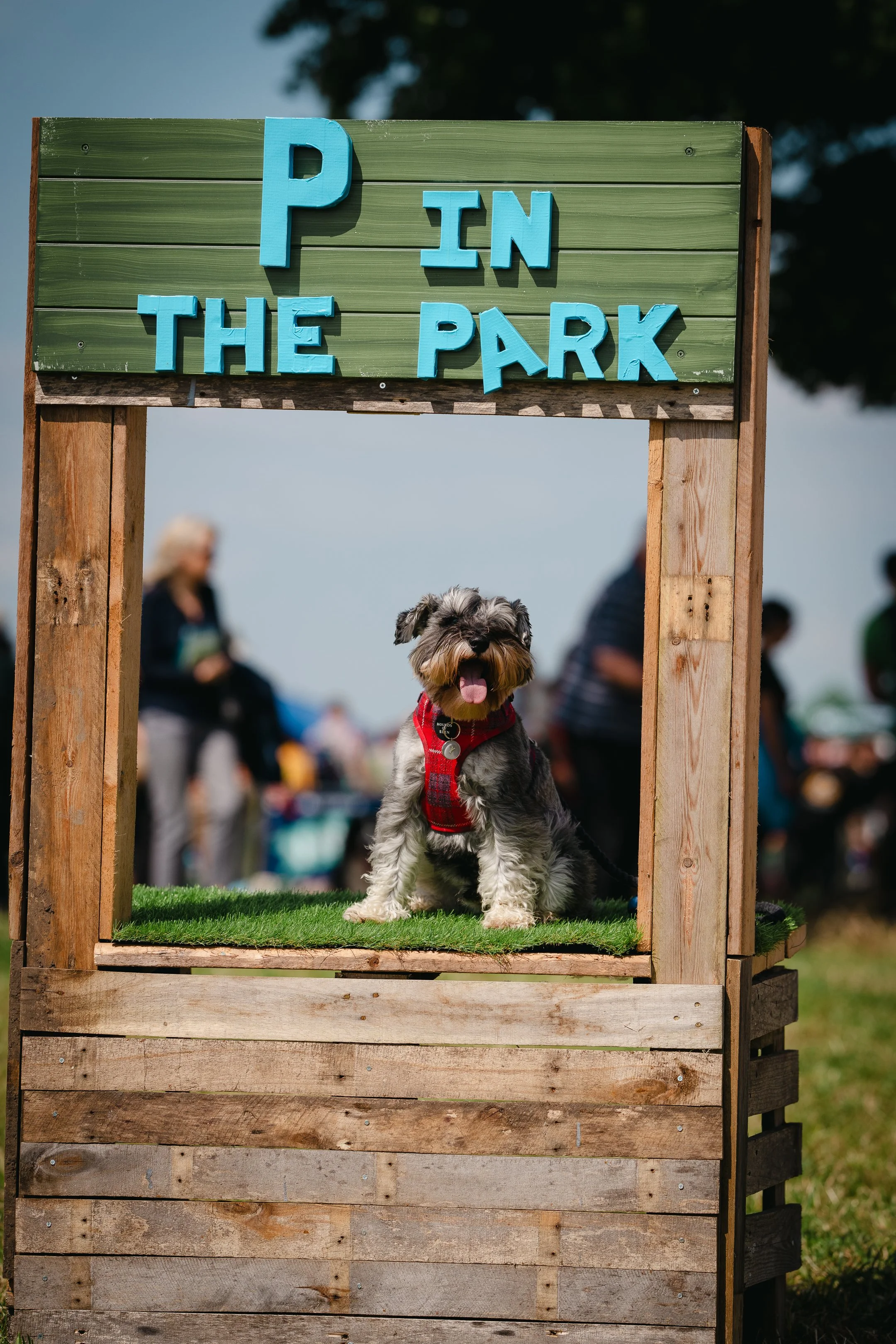 Directions | Parking — P in the Park