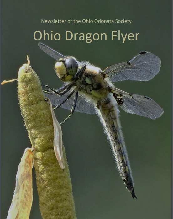 Ohio Dragon Flyer Newsletters — Ohio Odonata Society