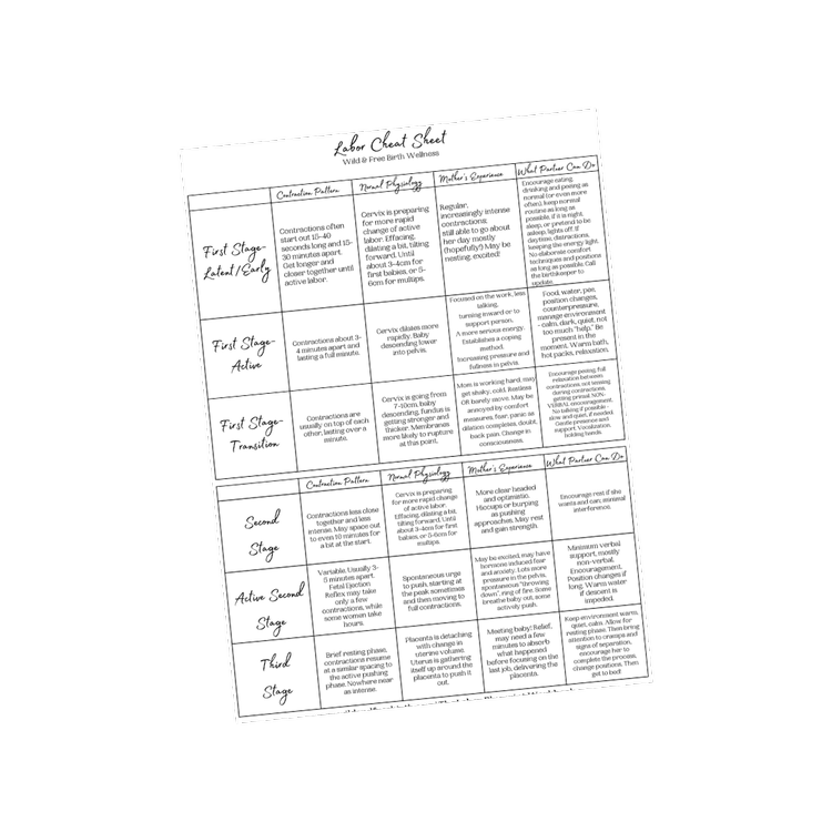 The Labor Blueprint — Wild & Free Birth Wellness