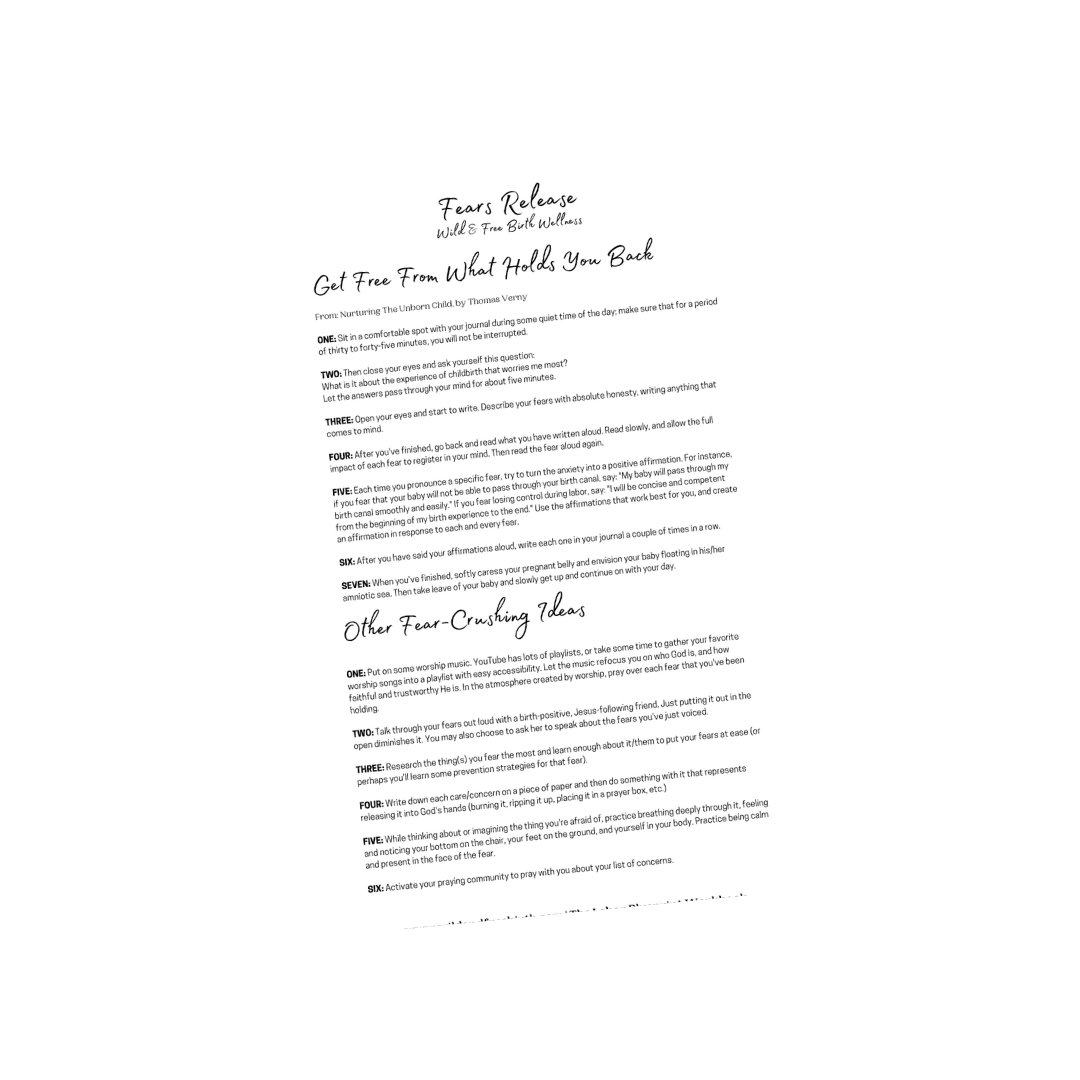 The Labor Blueprint — Wild & Free Birth Wellness