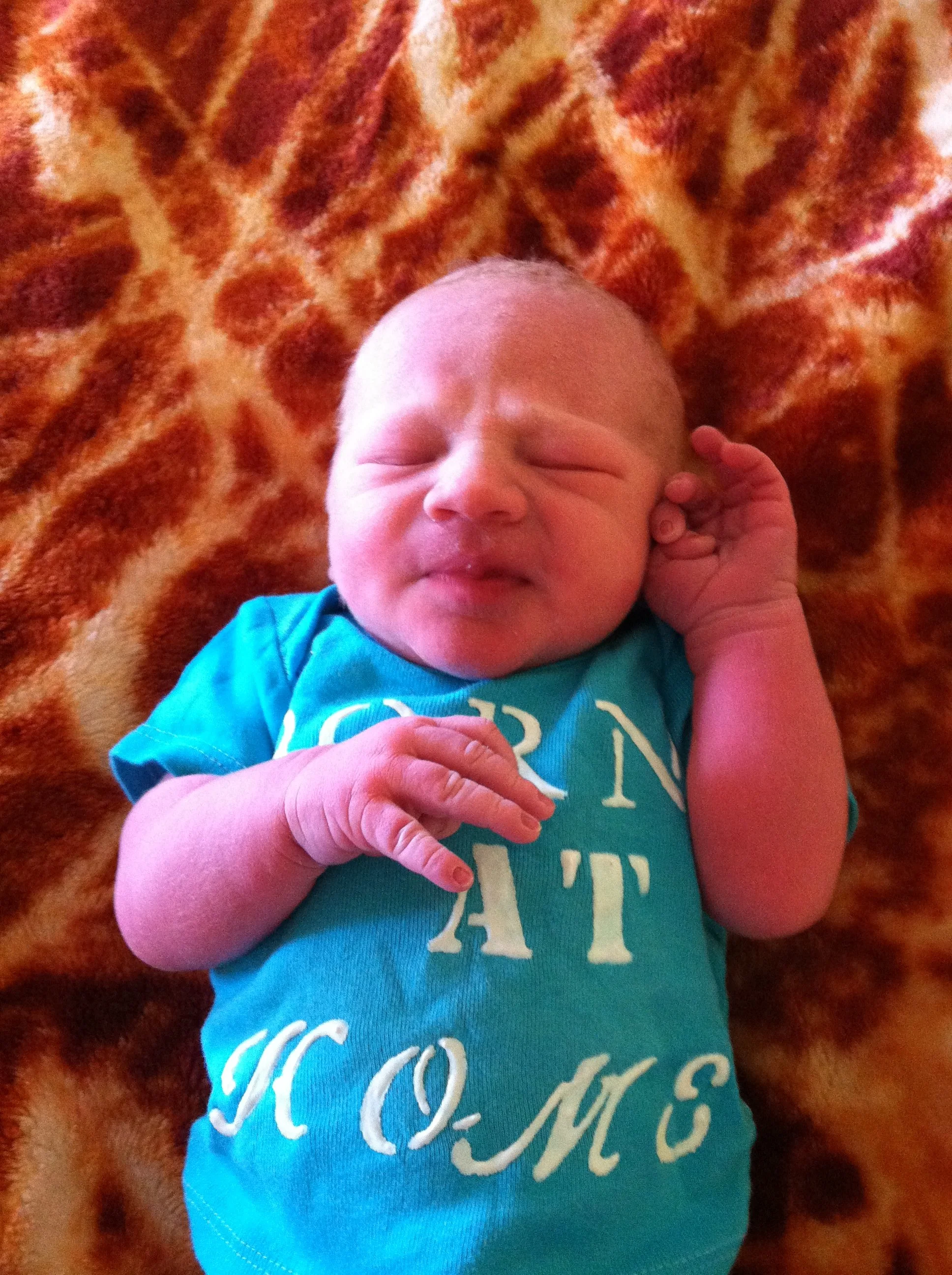 4. Earthside: Barrett’s Story — Wild & Free Birth Wellness