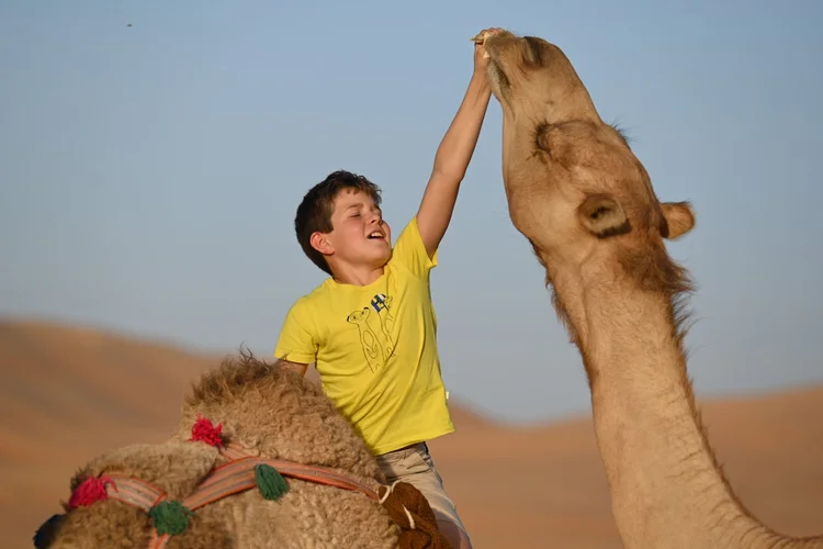 Liwa Nights Bedouin Glamping Retreat
