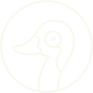 Swan Creek Vision | Optometry | Swanton, OH