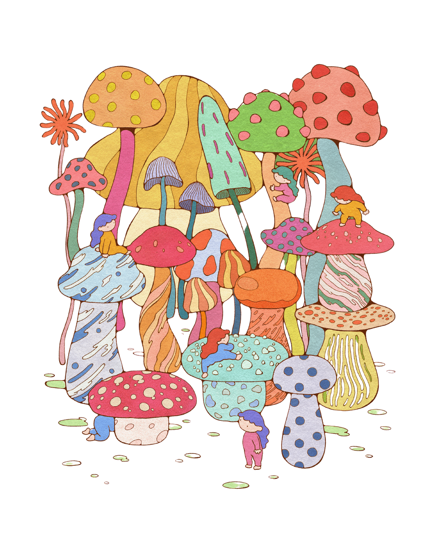 Fungi Fest — Solar Punk Farms