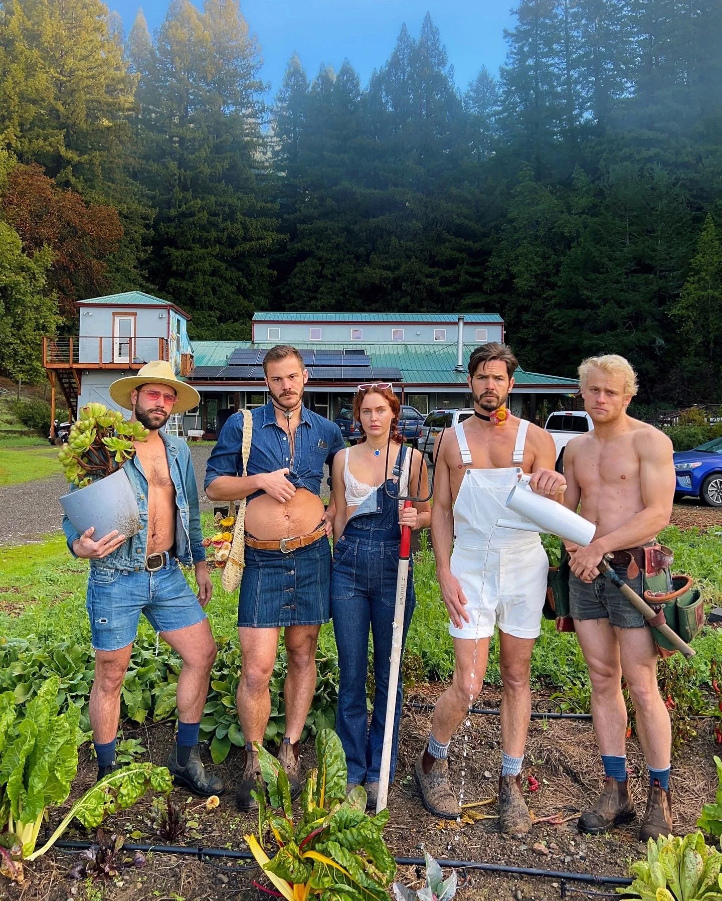 Solar Punk Farms
