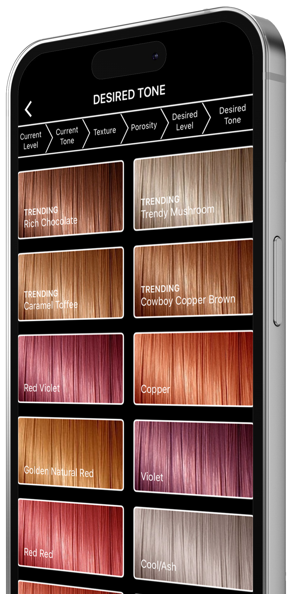 Color Coach