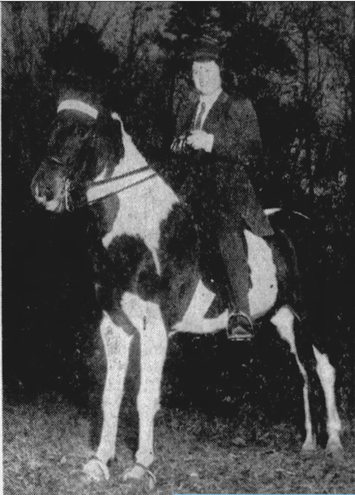 The Curious Case of the Five-Gaited Chincoteague — Chincoteague Pony ...