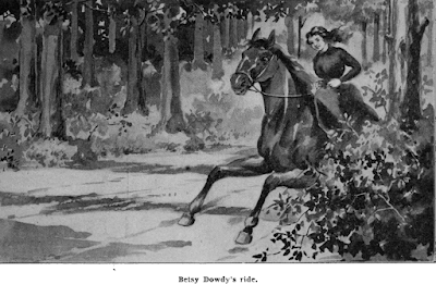 Did George Washington Own a Chincoteague Pony? — Chincoteague Pony History