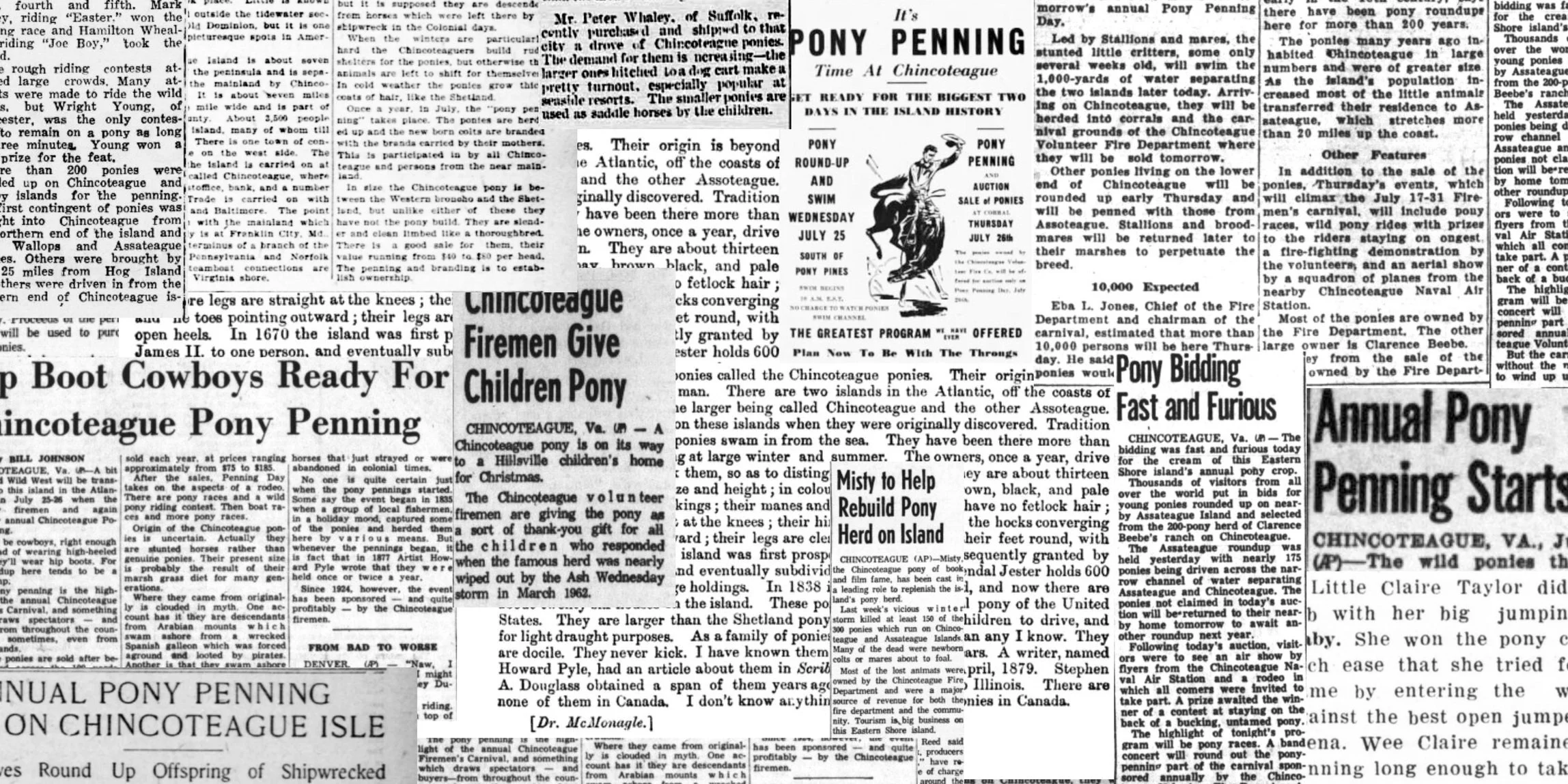 Chincoteague Pony History