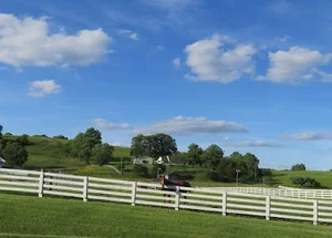 Bob Evans' Spanish Barbs — Chincoteague Pony History