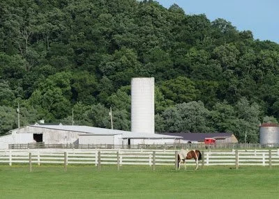 Bob Evans' Spanish Barbs — Chincoteague Pony History