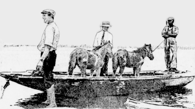 Black History Month + Chincoteague Pony History — Chincoteague Pony History