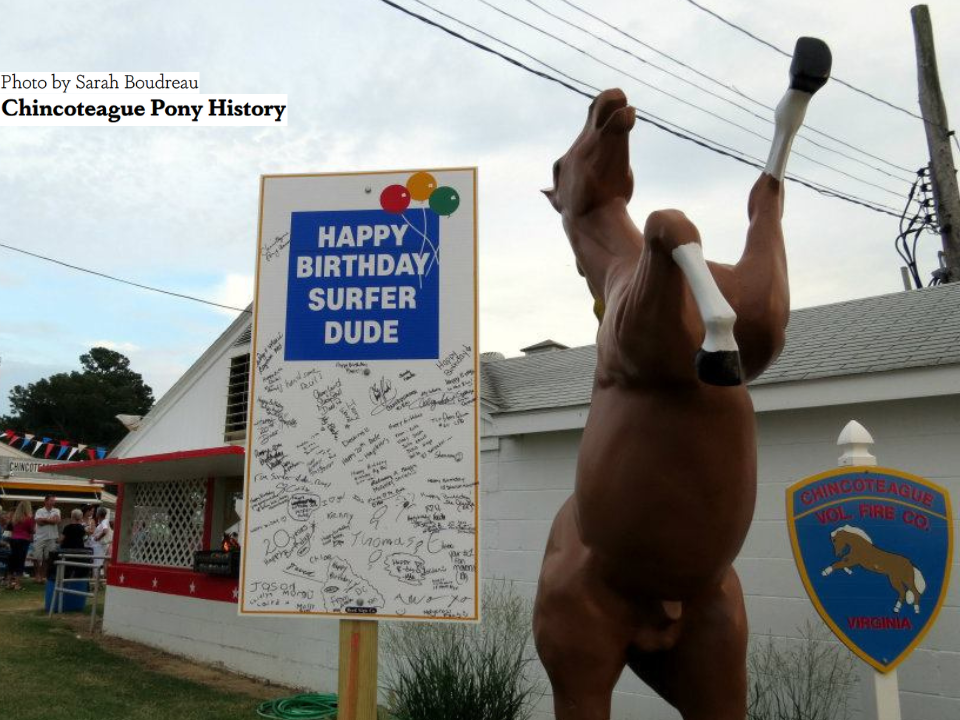 Surfer Dude: The Pony, the Myth, the Legend — Chincoteague Pony History