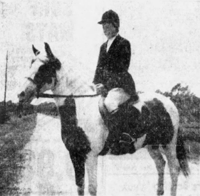 Off-Island Ponies: Welsh Crosses — Chincoteague Pony History