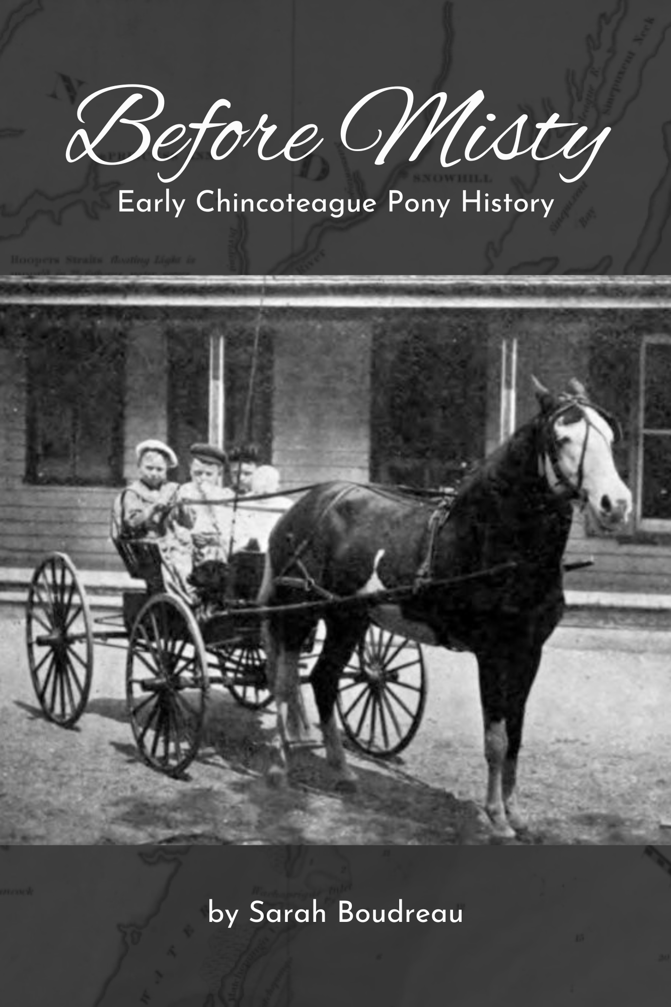 Before Misty: Early Chincoteague Pony History — Chincoteague Pony History