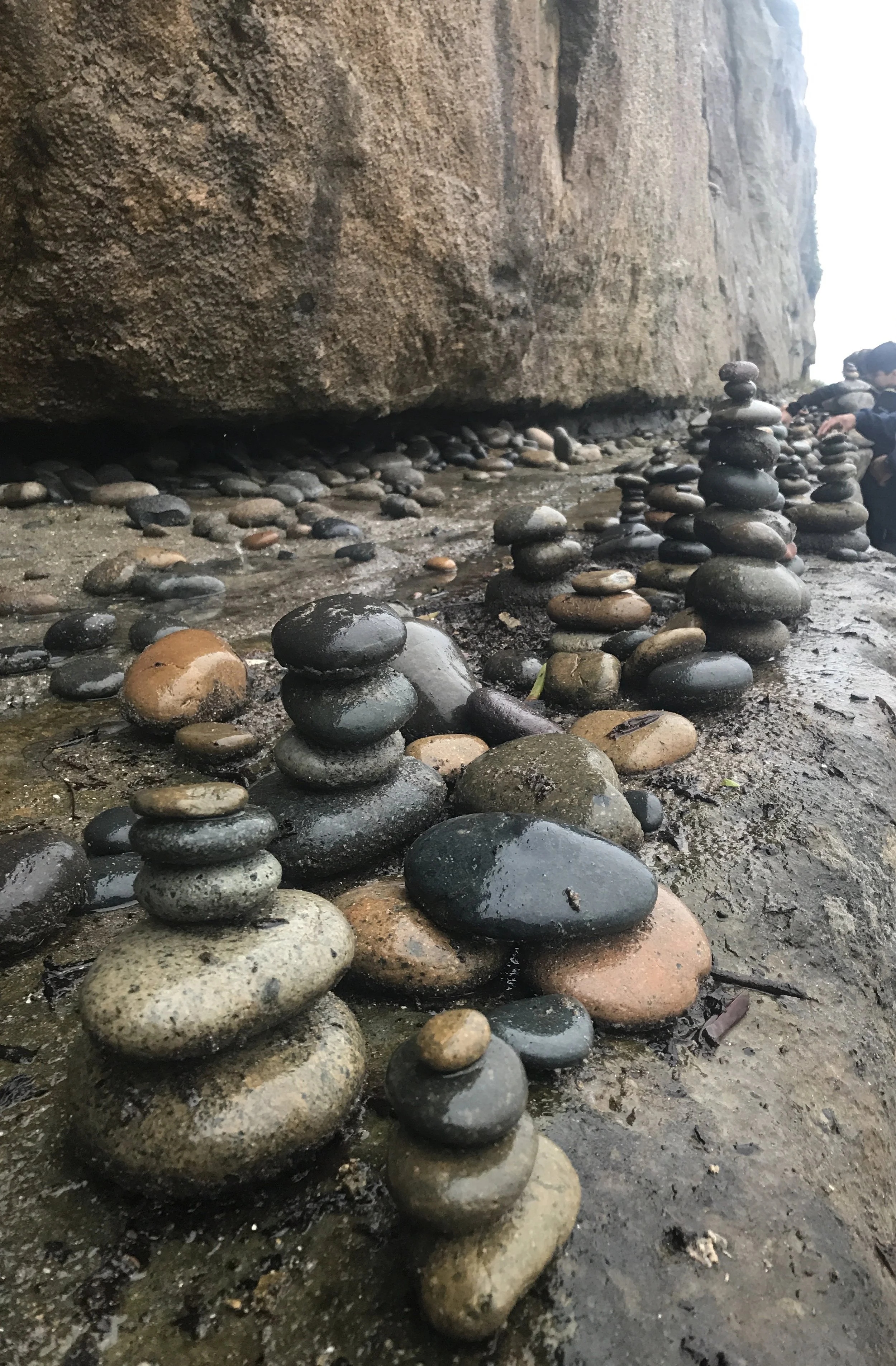 San Diego Radically Open Dialectical Behavior Therapy — Centered Ground