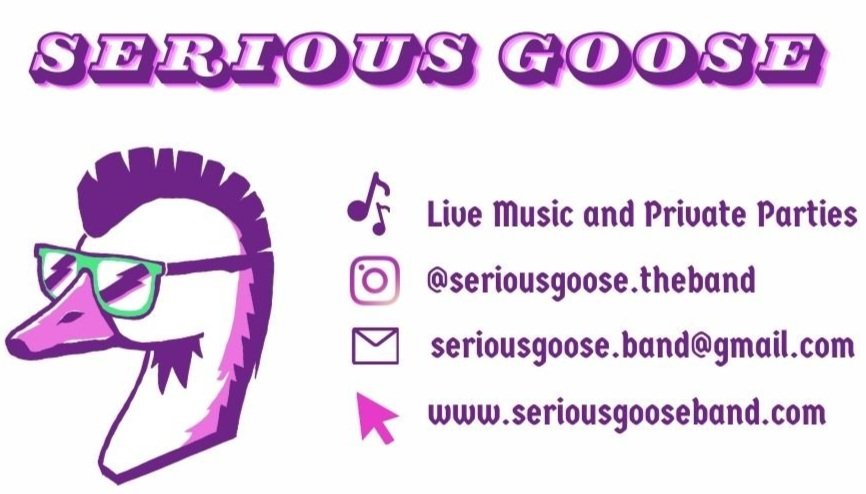Music — Serious Goose