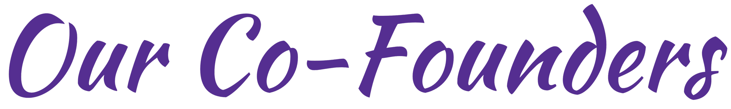 About — Tapestry Partner Solutions