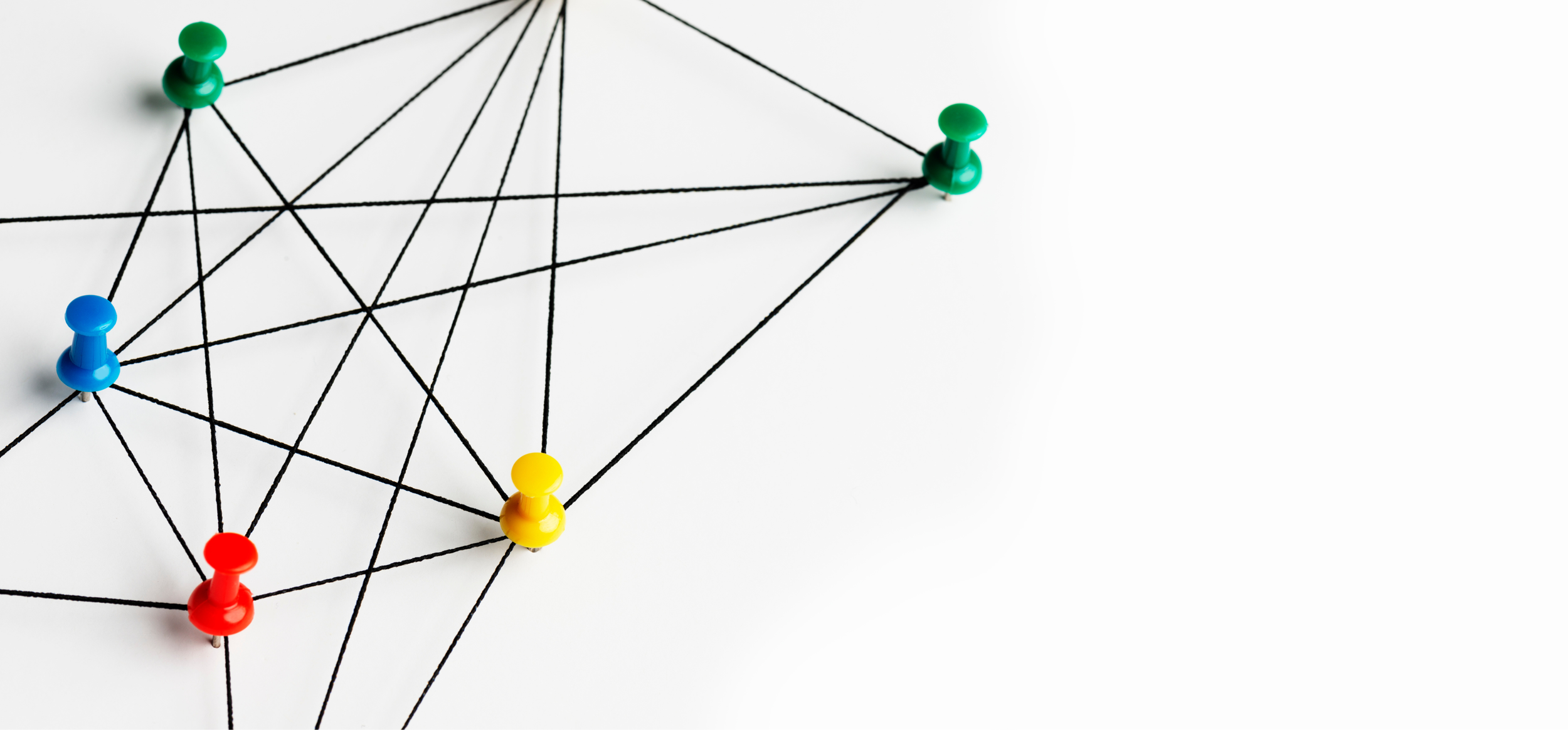 Work with Us — Tapestry Partner Solutions