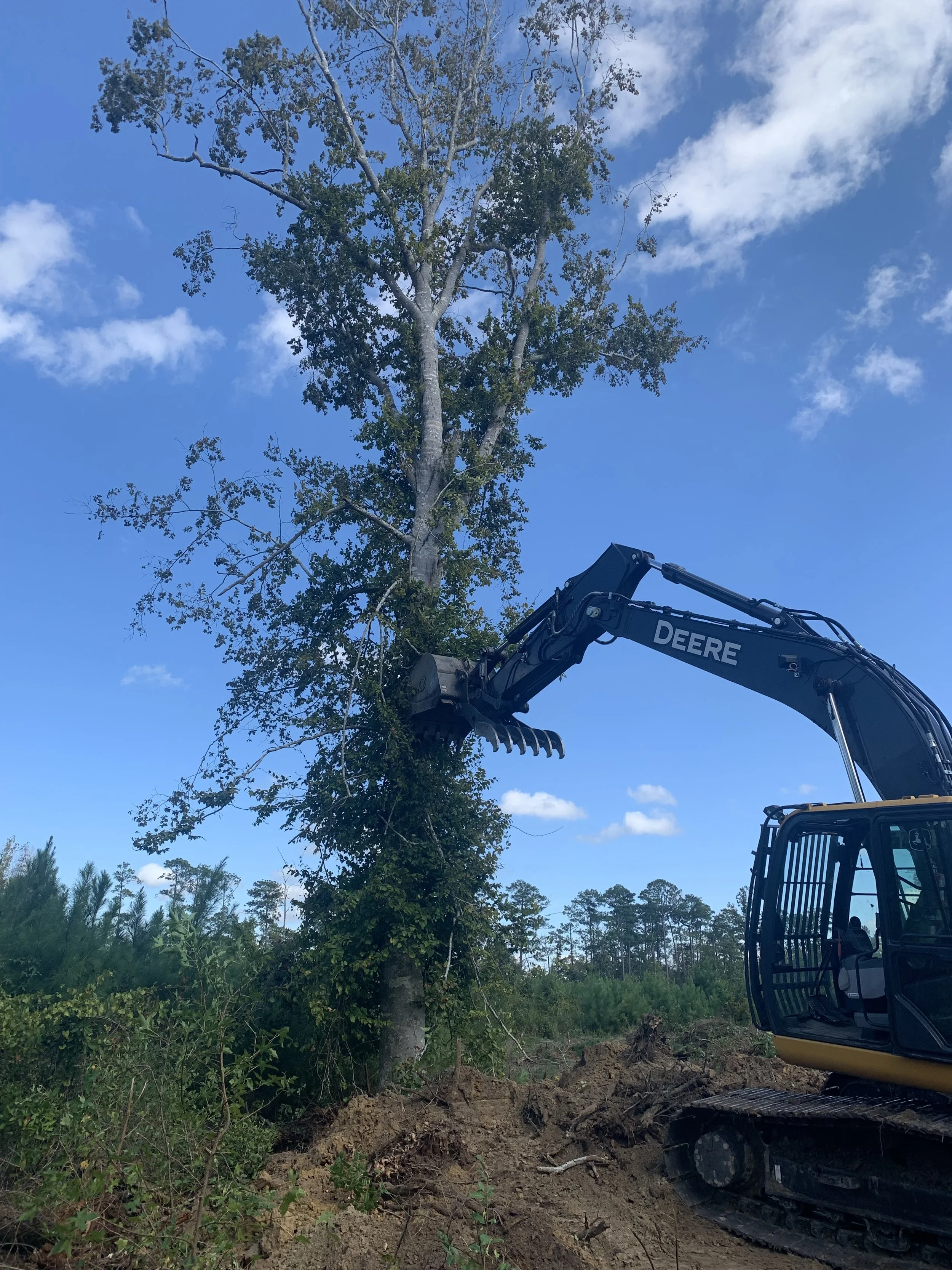 NelsonCoastalConstruction.com