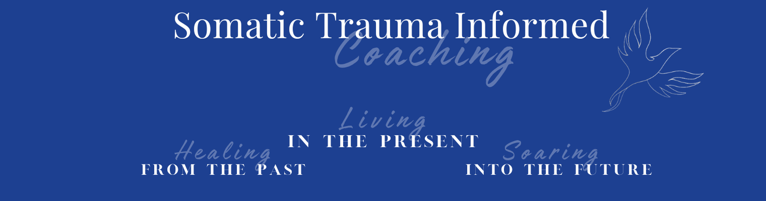 Finding Me Trauma Free - Discover the Power of Somatic Healing to ...