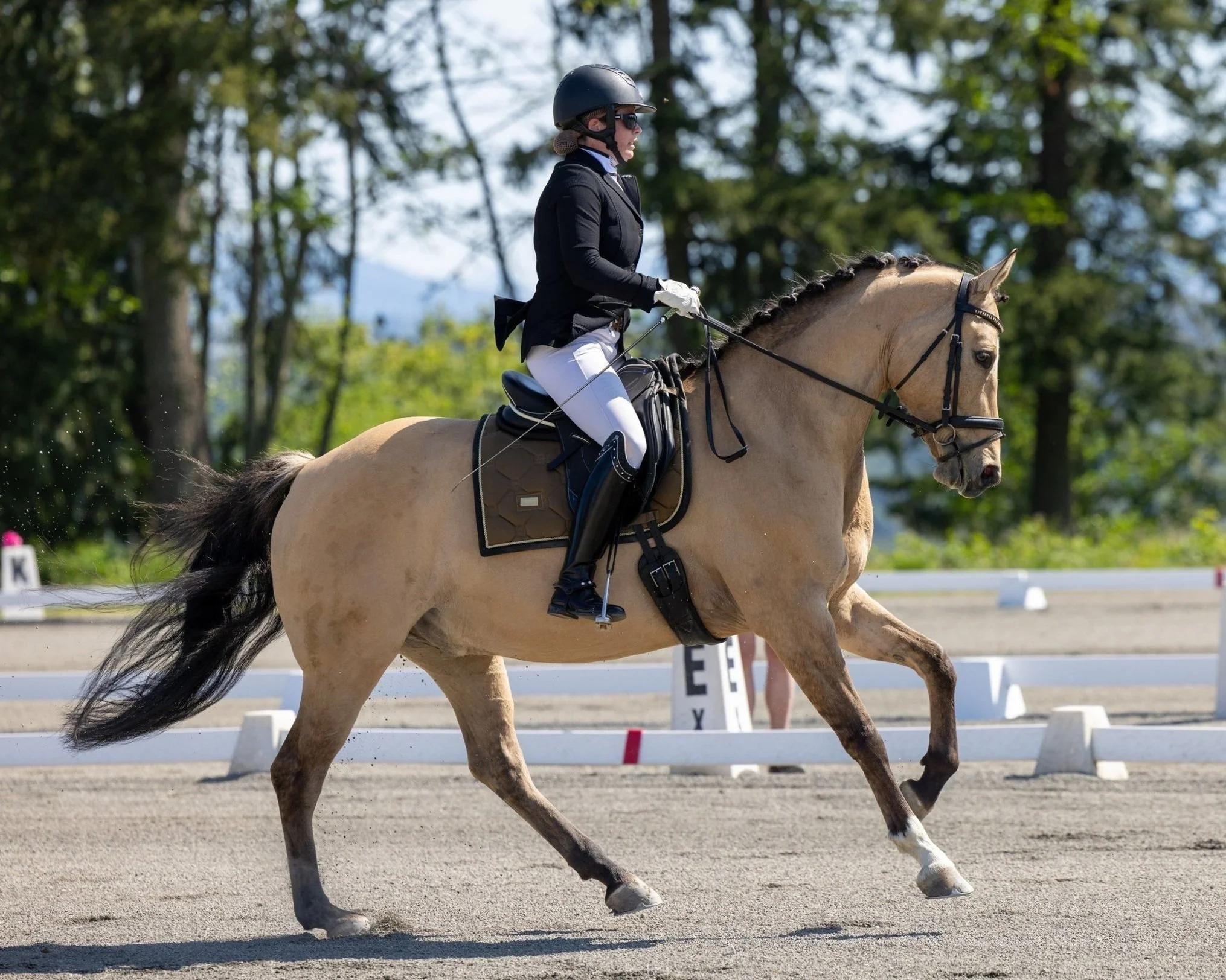 Horse and Human Harmony