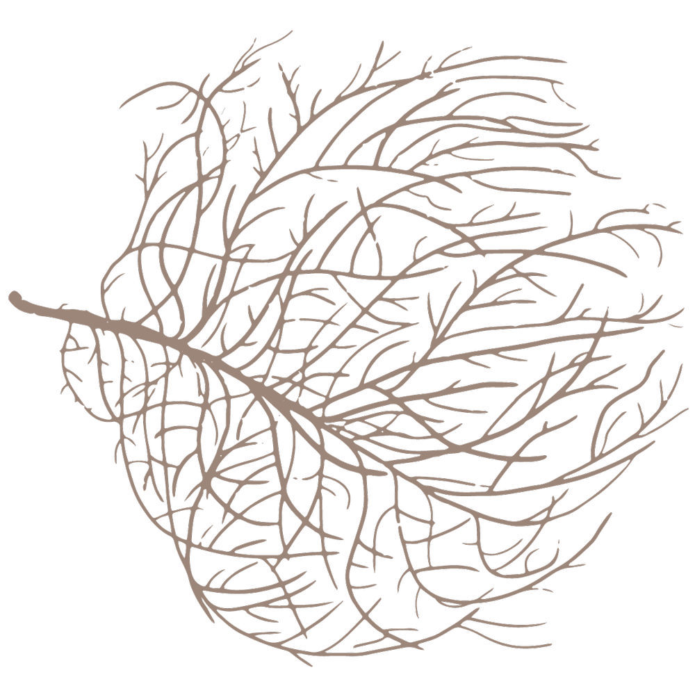 Tumbleweed Found | Consignment Vintage, Antiques, and Collectibles