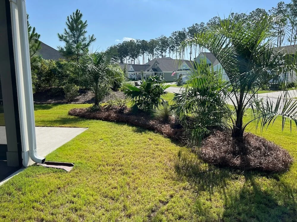 Expert Landscaping in Bluffton, SC | New Vision Landscapes