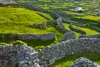Resources — Cumann Carad Na Gaeilge