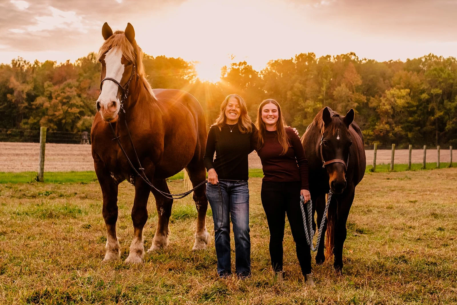 Airy Hill Stables