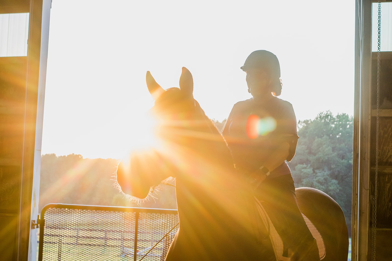 Riding With The Chakras — Airy Hill Stables