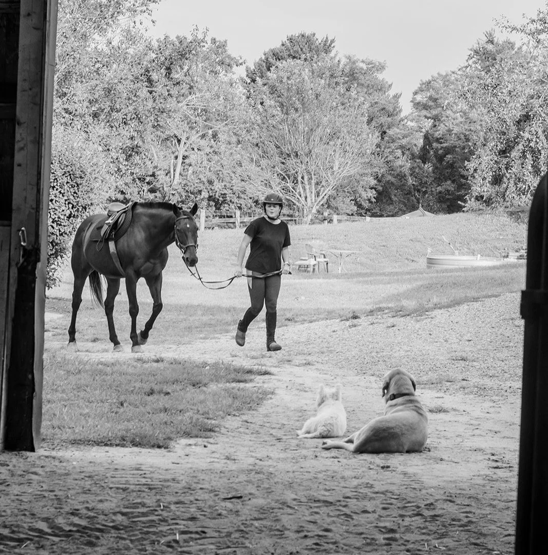 Boarding — Airy Hill Stables