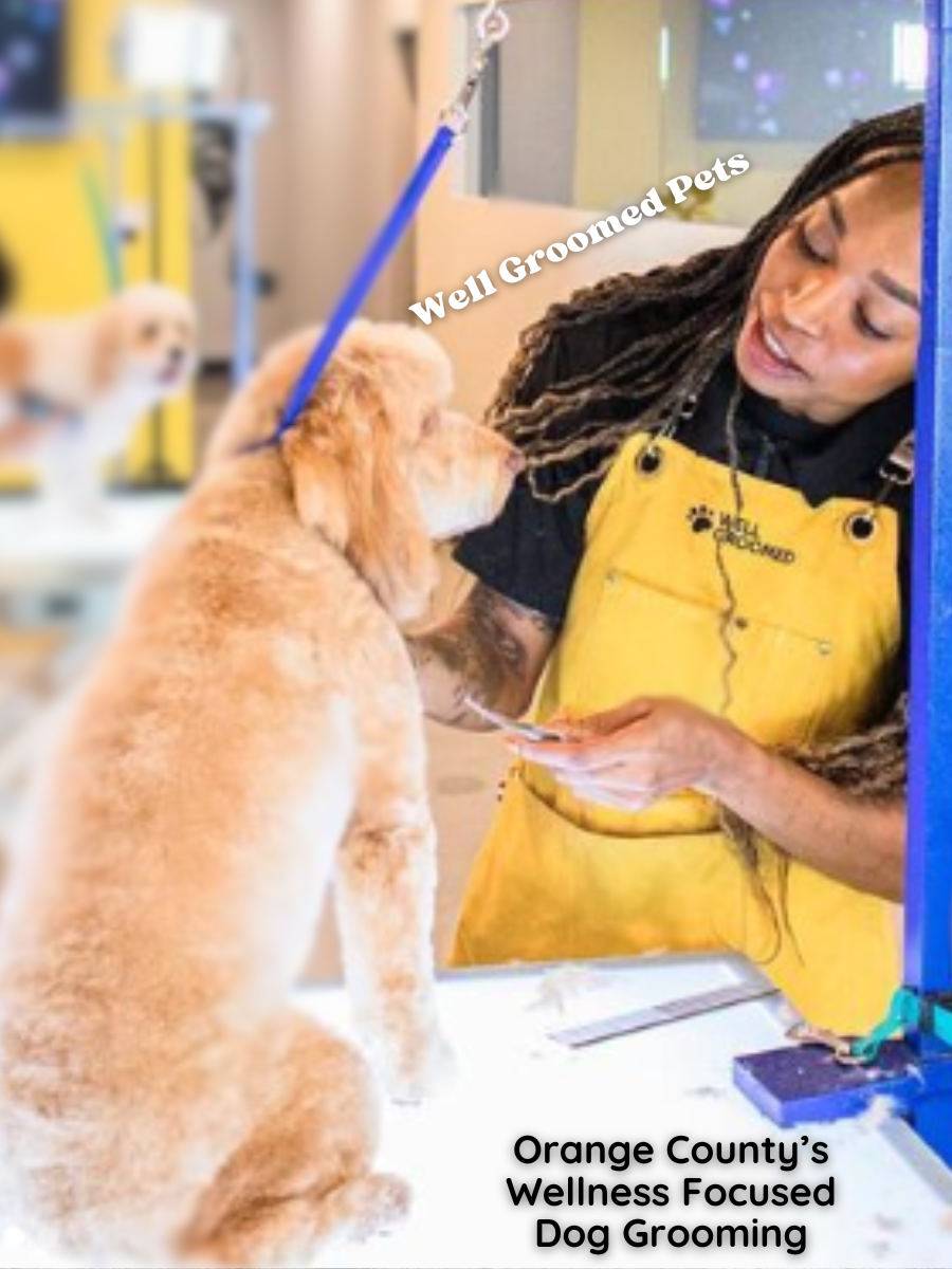 Well Groomed Pets - ORANGE COUNTY - Dog Grooming and Wellness
