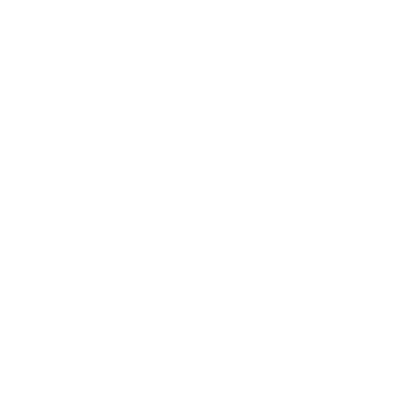 Green Remedy Kitchen | Retreat Chef and Naturopath | Susan Thomson