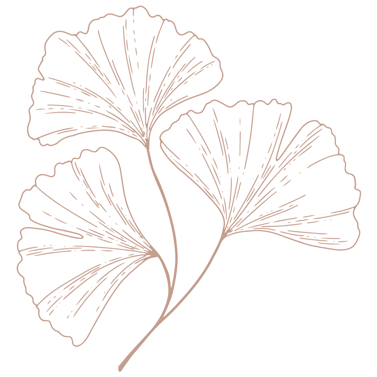 Retreat Chef Sydney — Green Remedy Kitchen | Susan Thomson