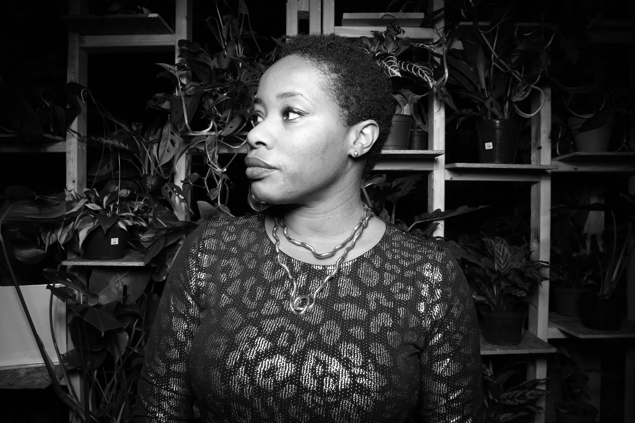 The Team — D-Composed