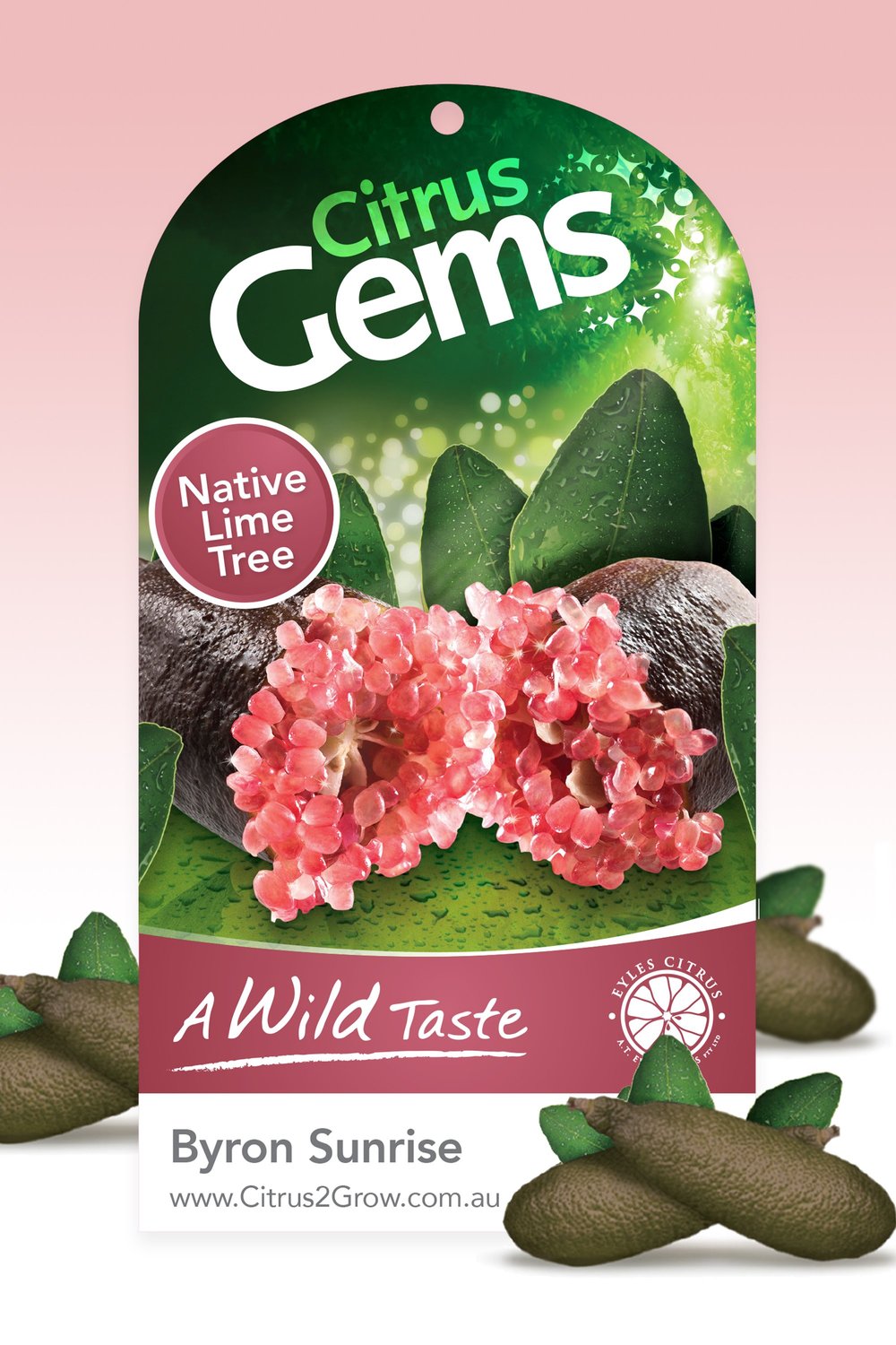Finger Limes - Citrus Gems — Buy citrus trees — Citrus Men