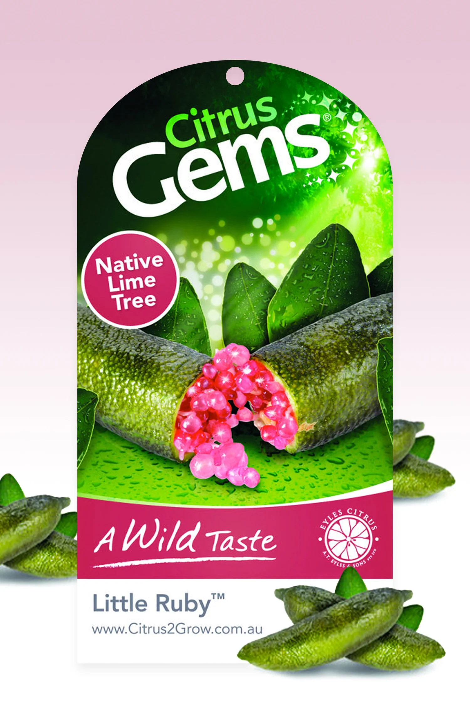 Finger Limes - Citrus Gems — Buy citrus trees — Citrus Men