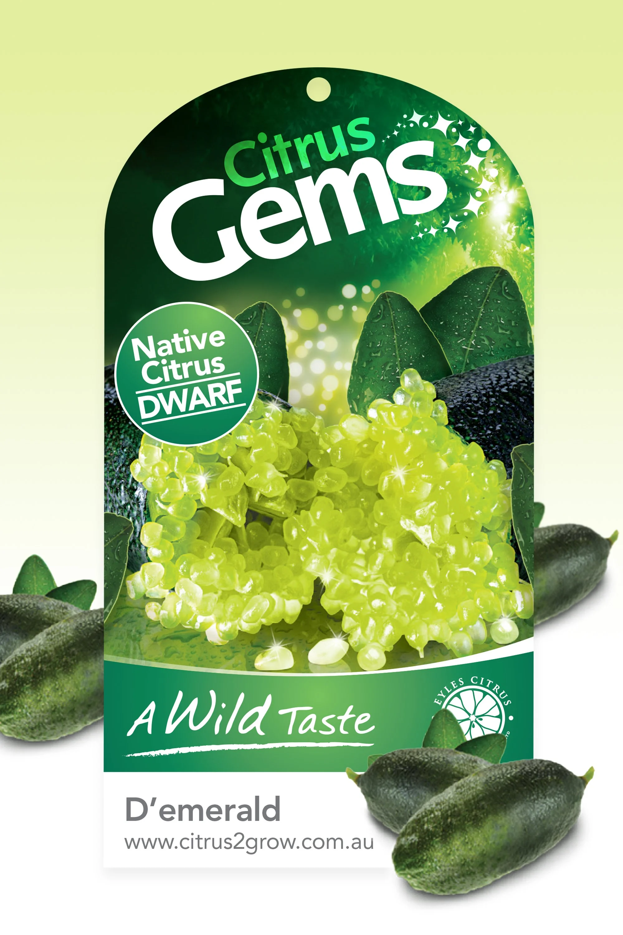 Finger Limes - Citrus Gems — Buy citrus trees — Citrus Men