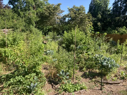 Community Food Forests — Portland Placemaking Coalition