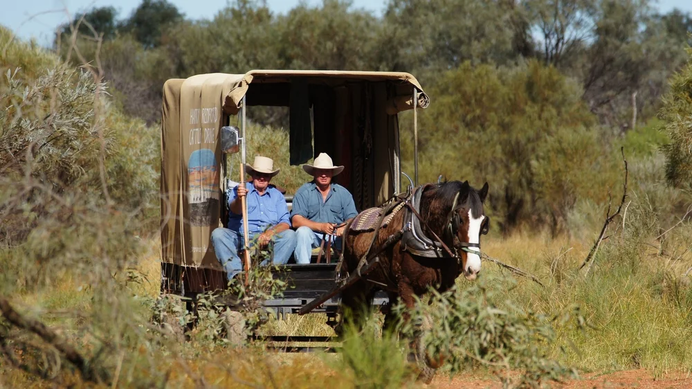 Visitor Information — Harry Redford Cattle Drive