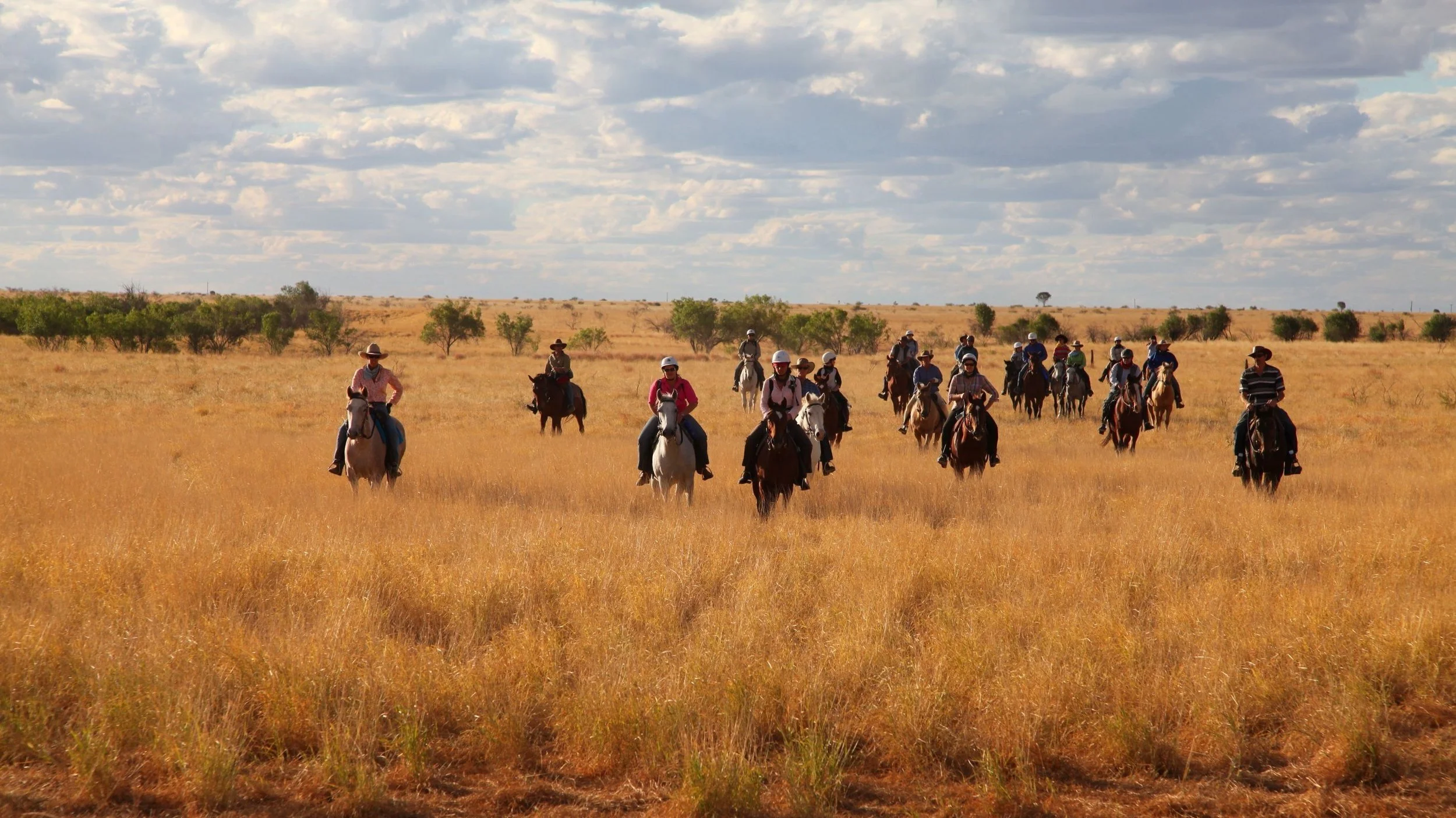 Visitor Information — Harry Redford Cattle Drive