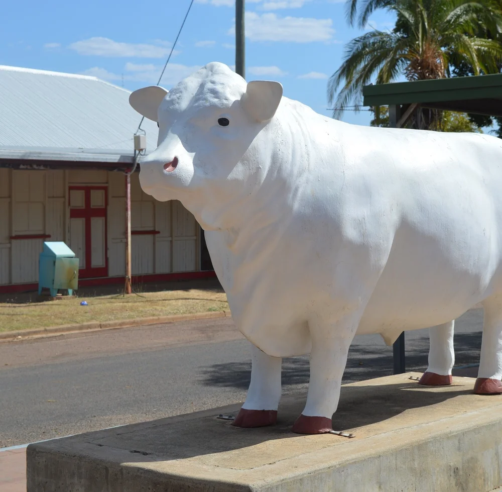 Visitor Information — Harry Redford Cattle Drive