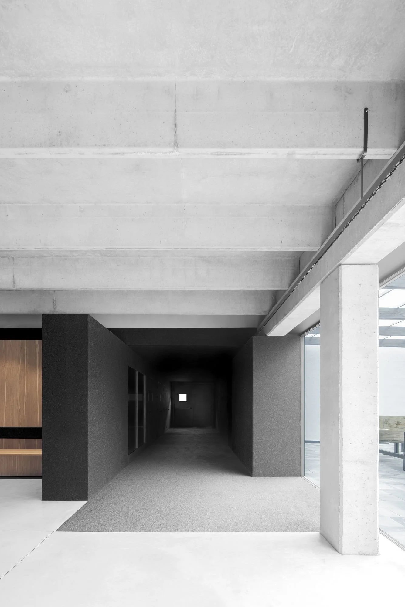 barth: New expansion — The Radical Project