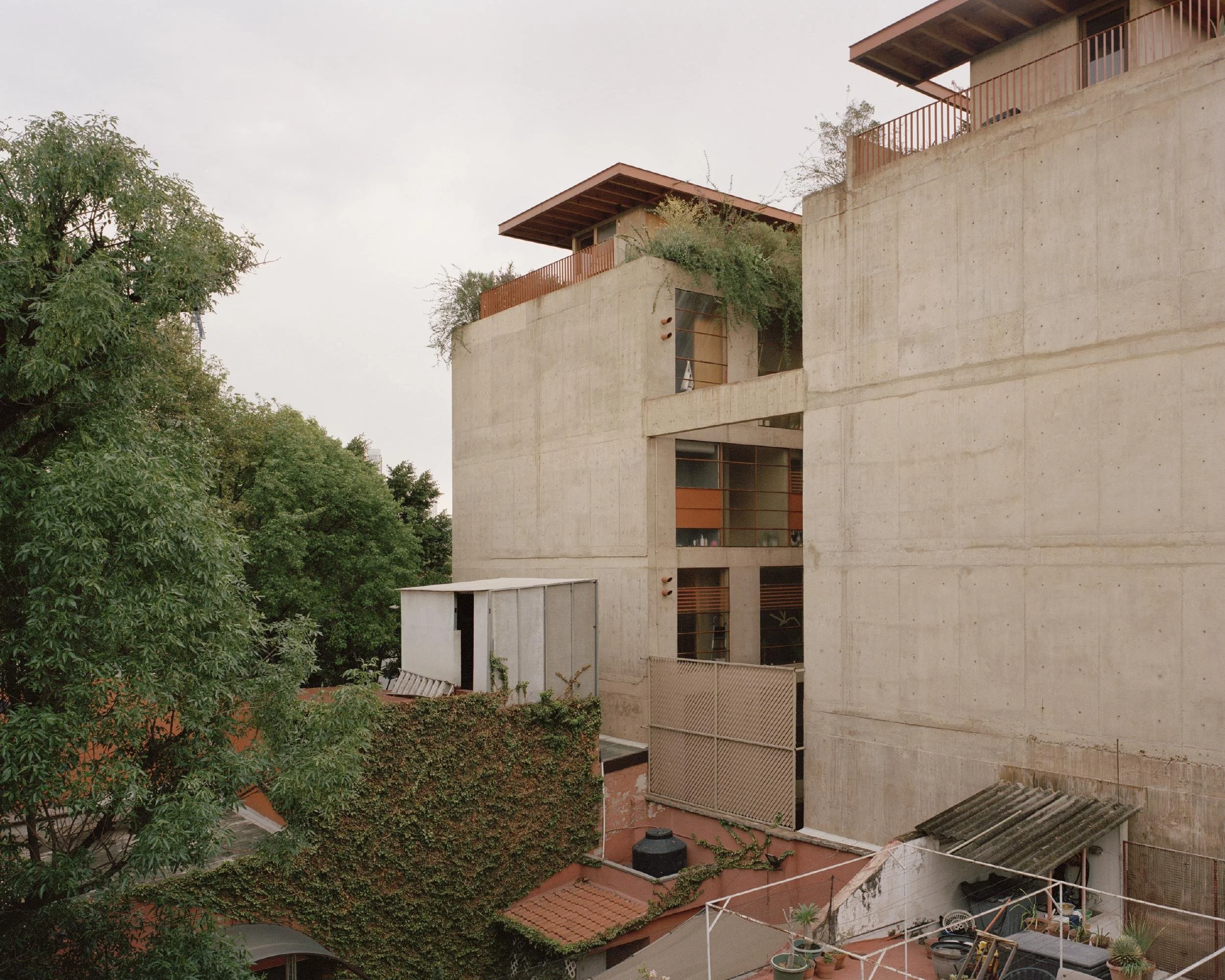 Antonio Maceo 8 | The Radical Project